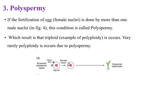 Polyploidy, mutation and hybridization with reference to medicinal ...