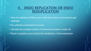 POLYPLOIDY PPT Chiranjeev Kumar Sahu.pptx