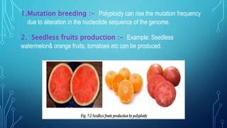 POLYPLOIDY PPT Chiranjeev Kumar Sahu.pptx