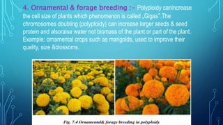 POLYPLOIDY PPT Chiranjeev Kumar Sahu.pptx