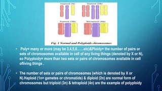 POLYPLOIDY PPT Chiranjeev Kumar Sahu.pptx