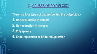 POLYPLOIDY PPT Chiranjeev Kumar Sahu.pptx