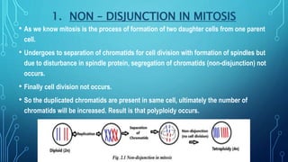 POLYPLOIDY PPT Chiranjeev Kumar Sahu.pptx