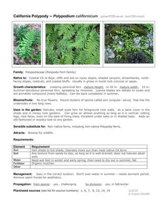 Polypodium californicum | PDF