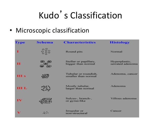 Colorectal Polyps & Carcinomas Diagnosis & characterization