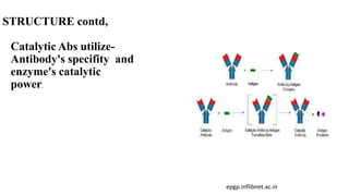 Polyreactive antibodies and catalytic antibodies | PPTX