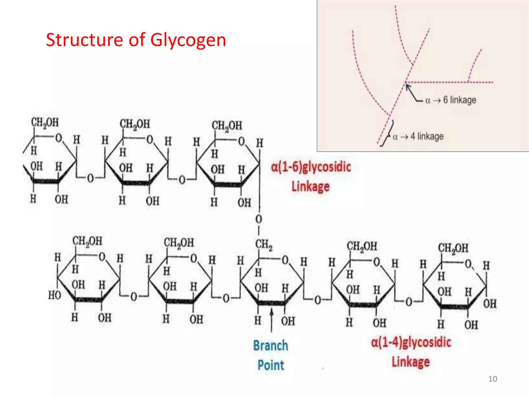 Polysaccharide | PPTX