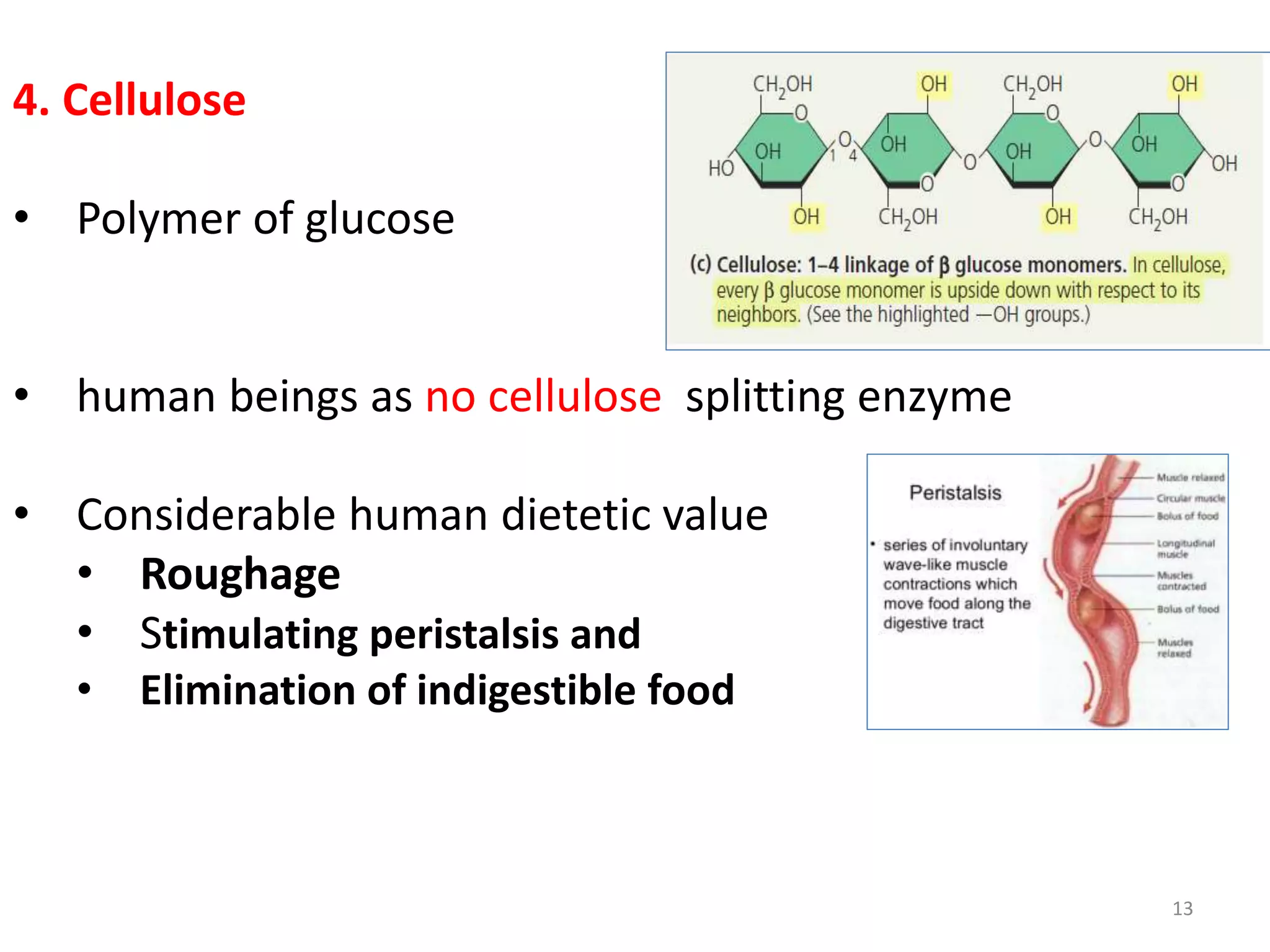 Polysaccharide | PPTX