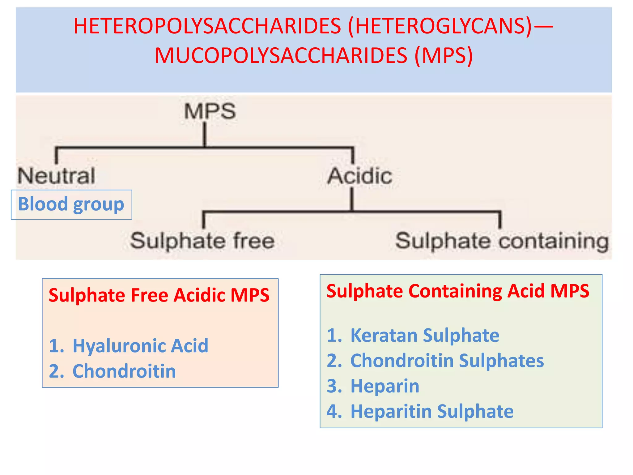 Polysaccharide | PPTX