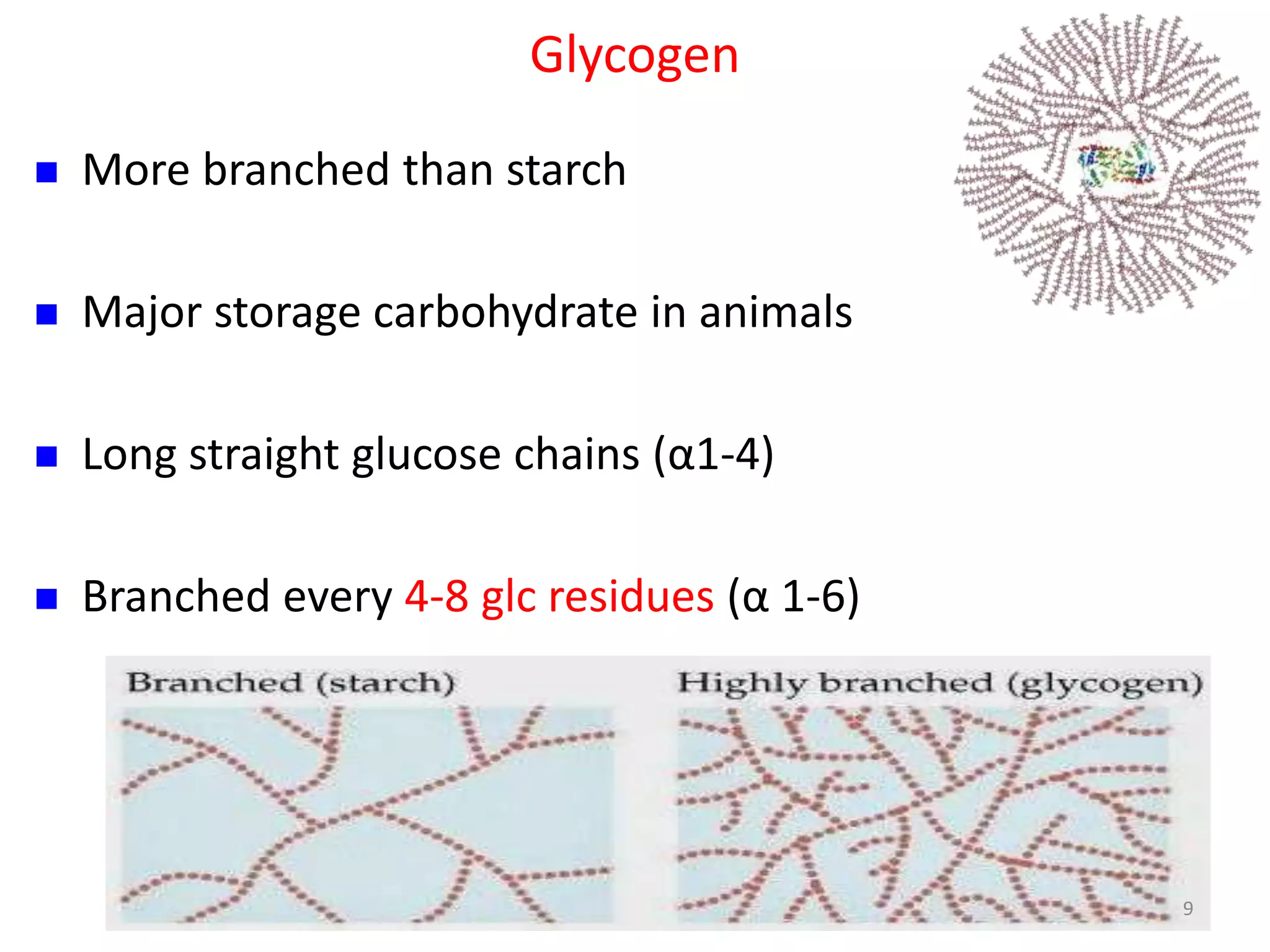 Polysaccharide | PPTX