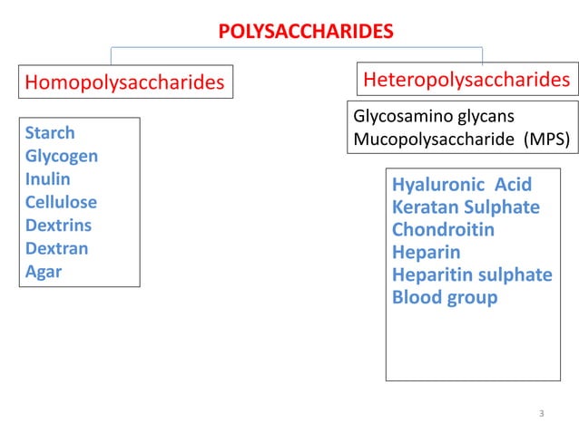 Polysaccharide | PPTX