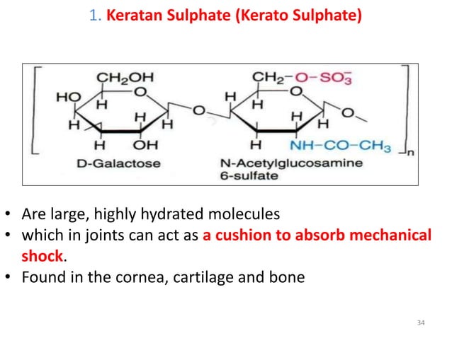 Polysaccharide | PPTX