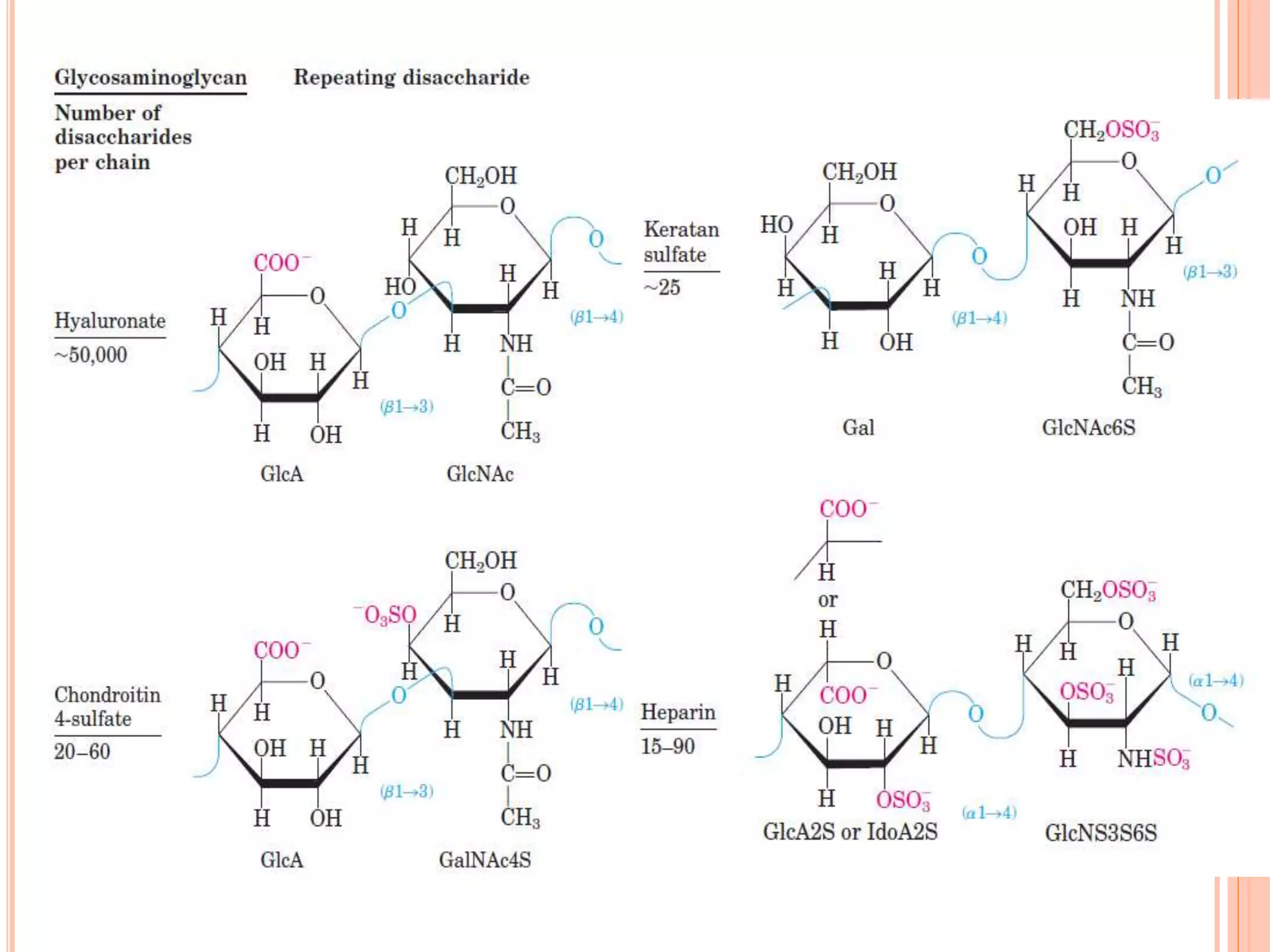 Chemistry and Structure of Polysaccharide | PPTX