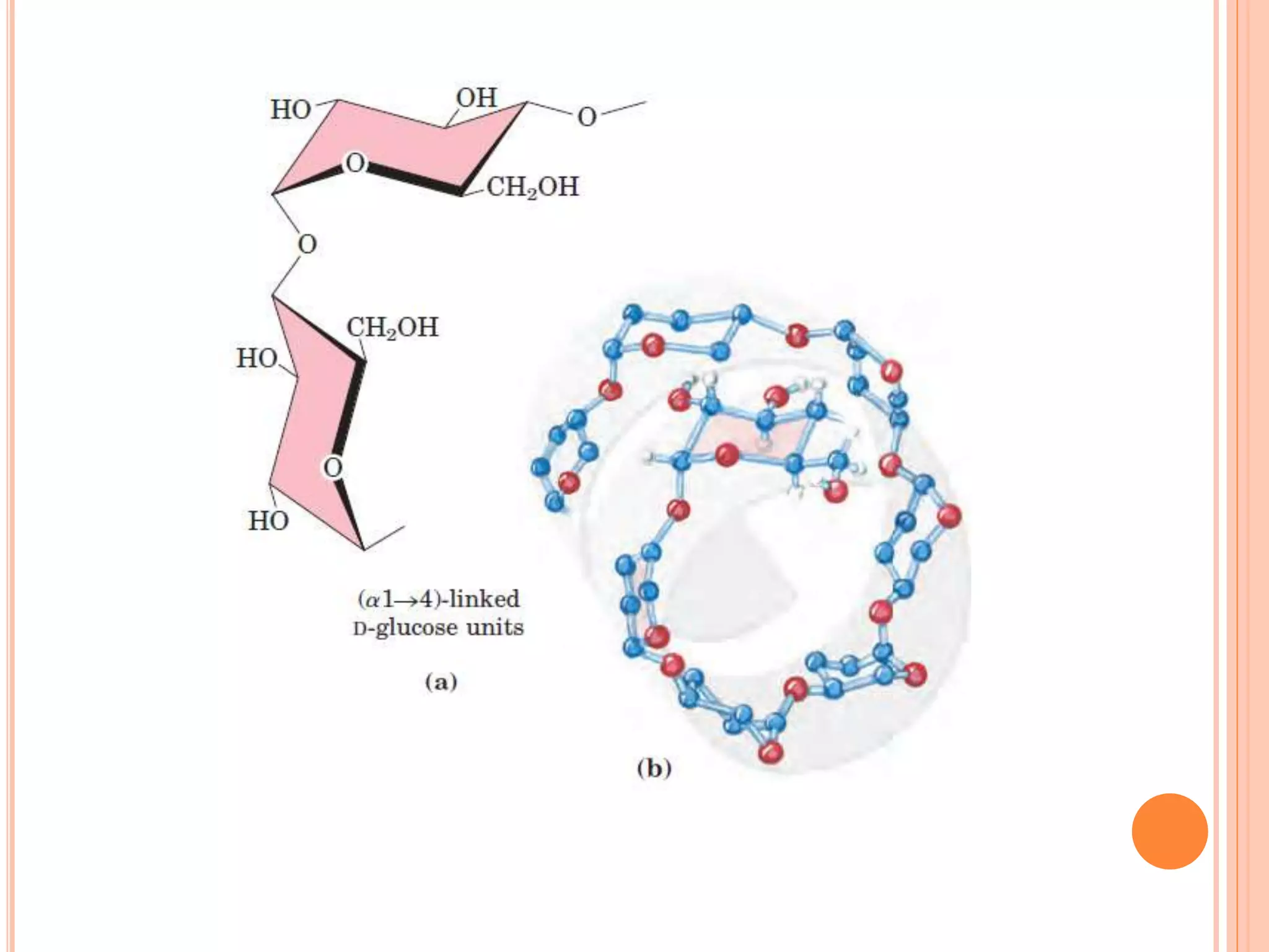 Chemistry and Structure of Polysaccharide | PPTX