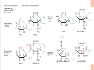 Chemistry and Structure of Polysaccharide | PPTX