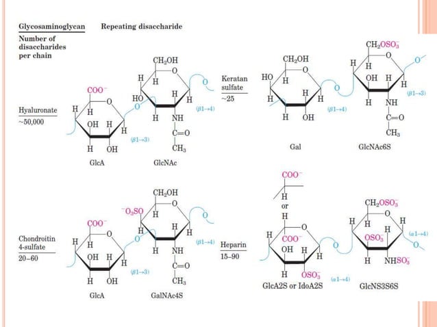 Chemistry and Structure of Polysaccharide | PPT
