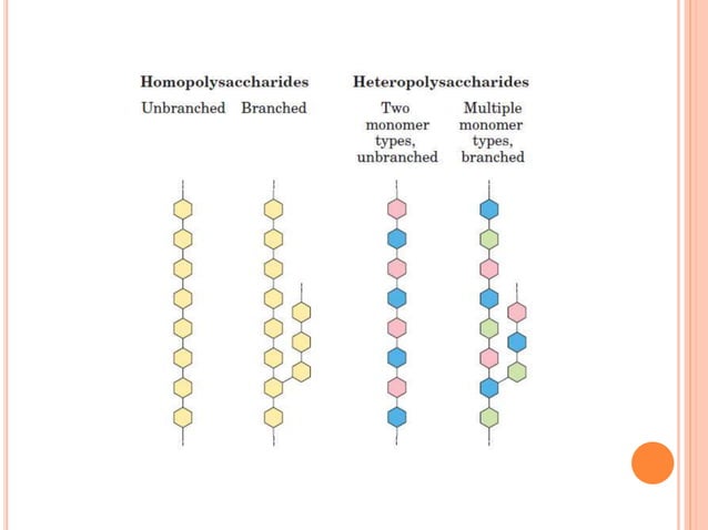 Chemistry and Structure of Polysaccharide | PPT