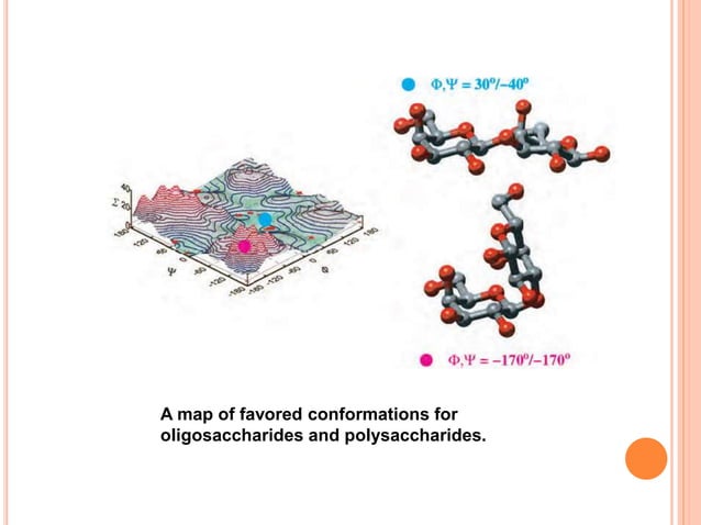 Chemistry and Structure of Polysaccharide | PPT