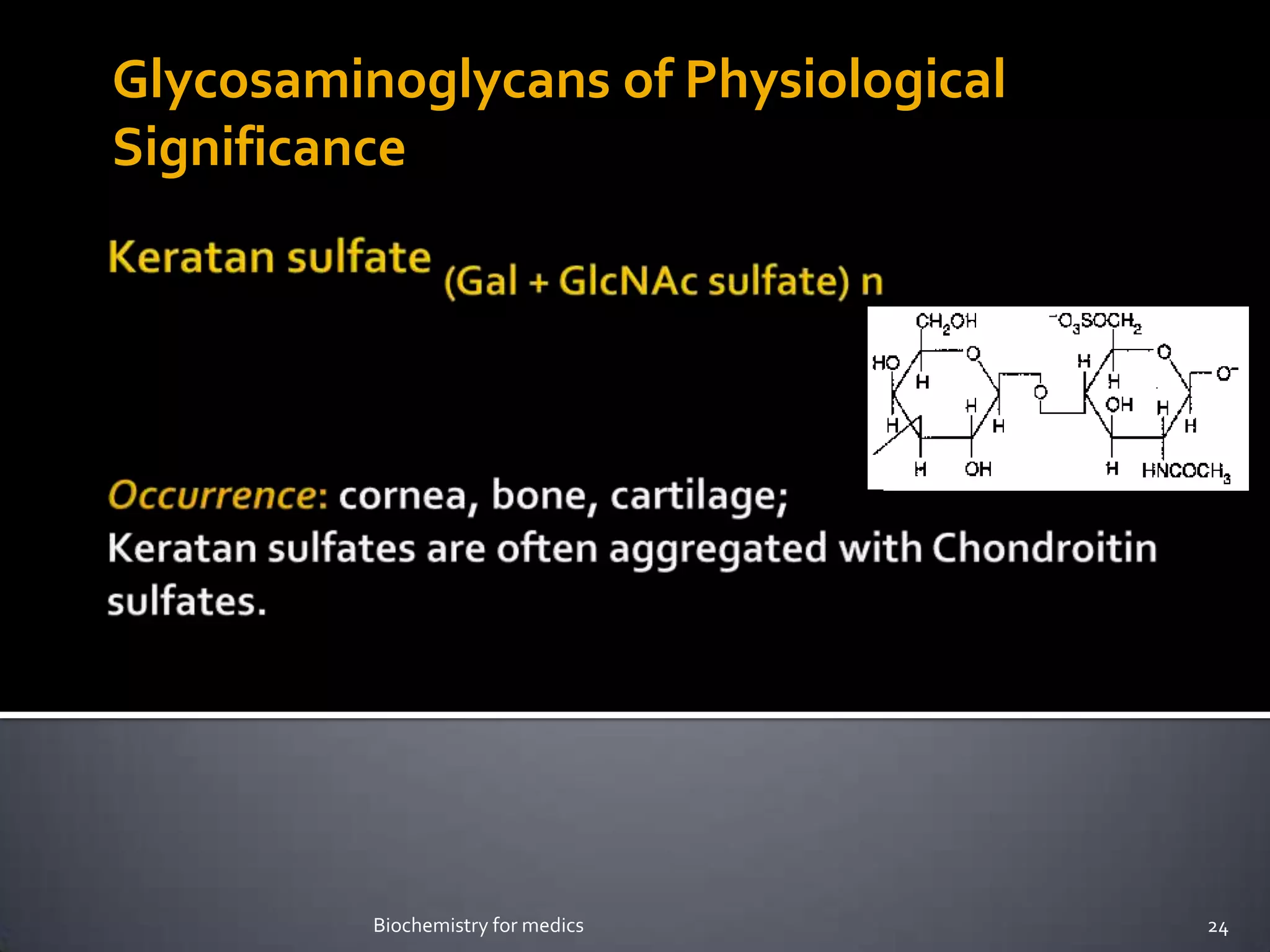 Polysaccharides | PPTX