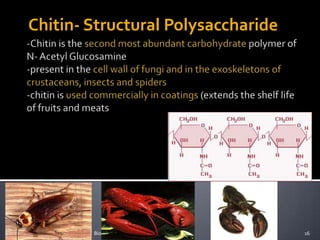 Polysaccharide Chitin