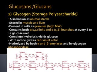 Polysaccharide Glycogen