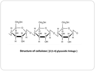 Polysaccharides | PPT