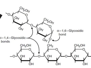 Poly saccharides(inulin,dietary fiber,glycemic index) | PPT