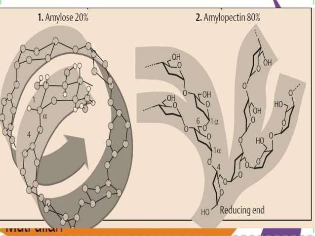 Poly saccharides(inulin,dietary fiber,glycemic index) | PPT