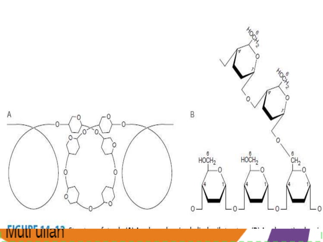 Poly saccharides(inulin,dietary fiber,glycemic index) | PPT
