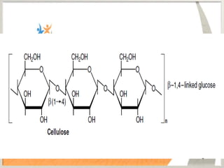 Polysaccharides and their role in health and disease their structure ...