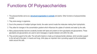 Polysaccharides - structure and functions.pptx