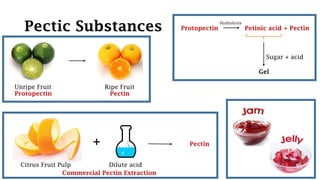 Polysaccharides in foods | PDF
