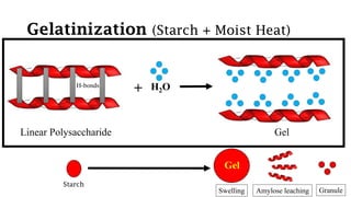 Polysaccharides in foods | PDF