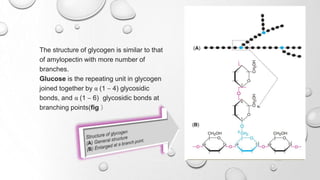 Polysaccharides presentation | PPTX