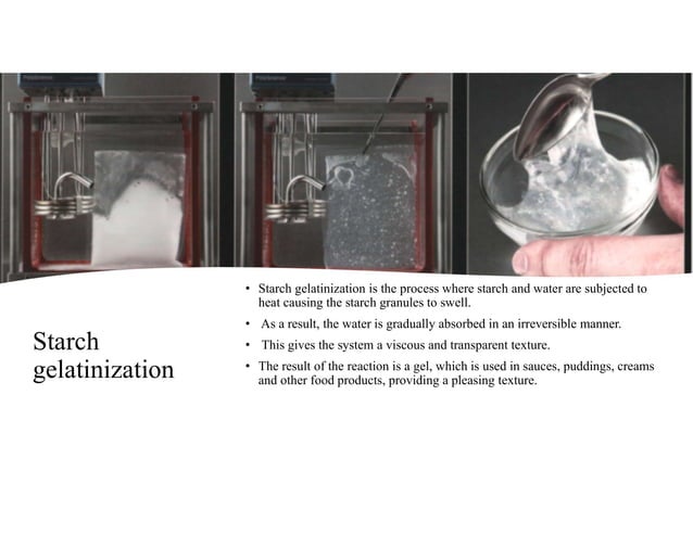 Polysaccharide; Starch, Pectin, cellulose x.pdf