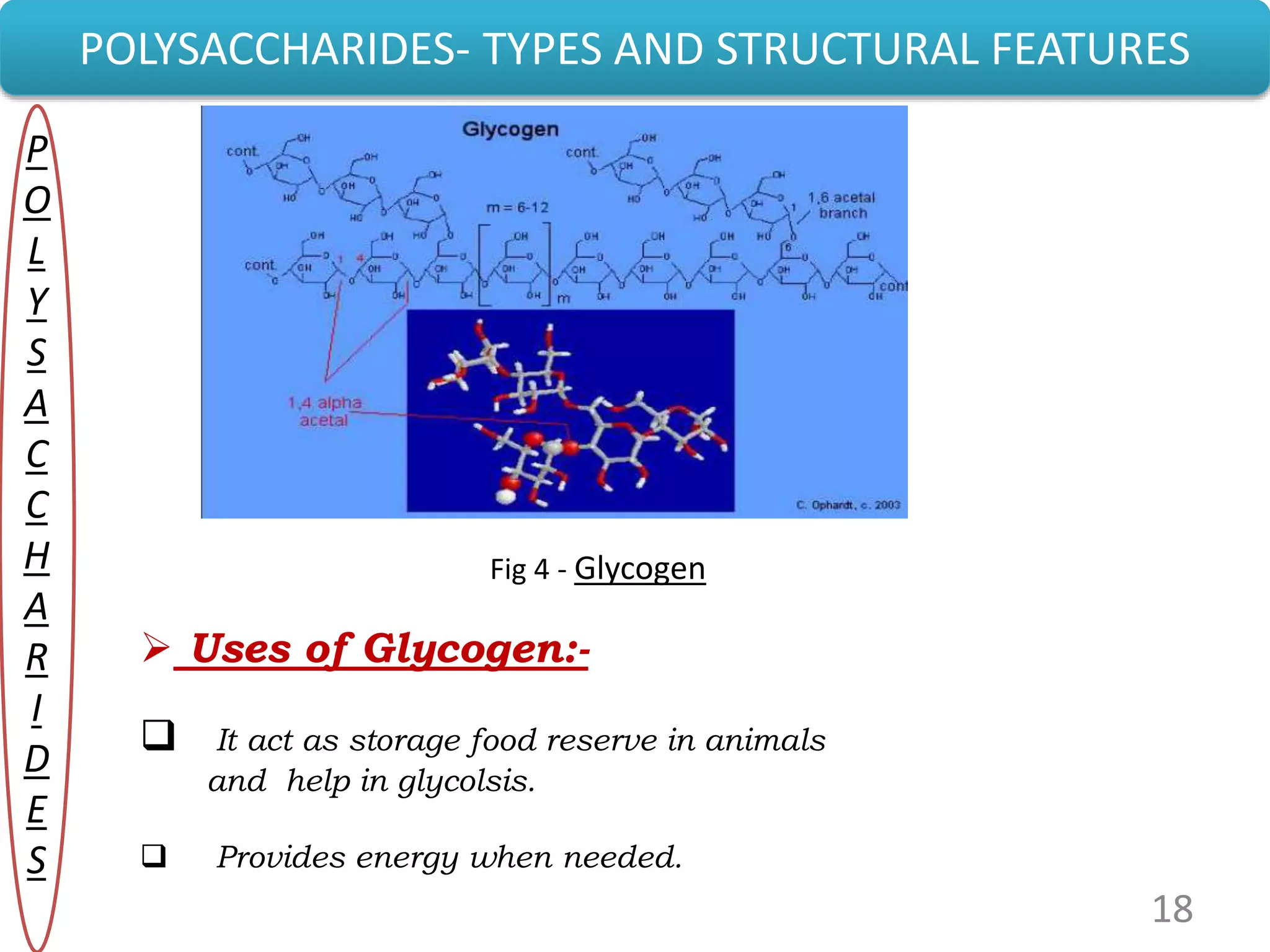 Polysaccharides types and Structural Features | PPTX