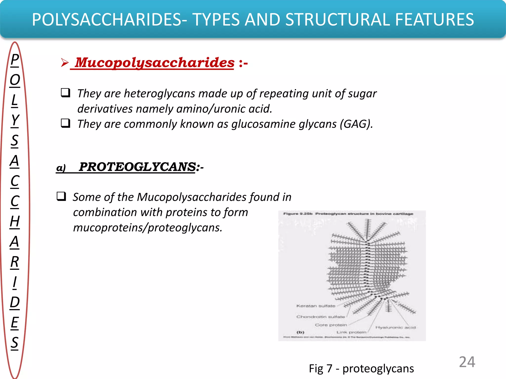 Polysaccharides types and Structural Features | PPTX
