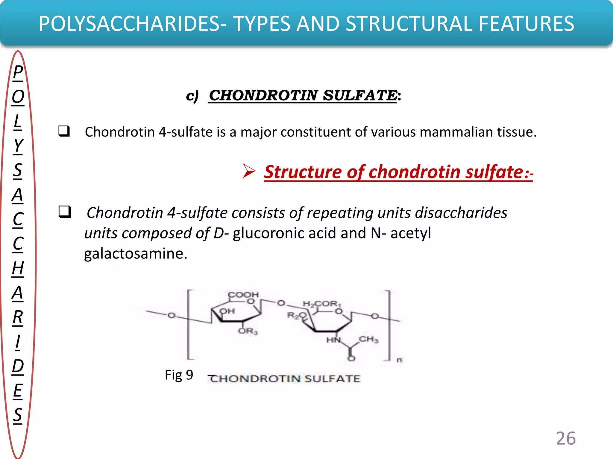 Polysaccharides types and Structural Features | PPTX