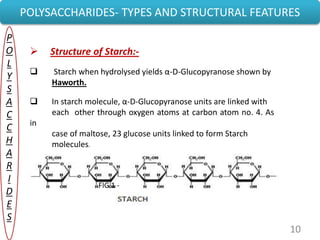 Polysaccharides types and Structural Features | PPTX
