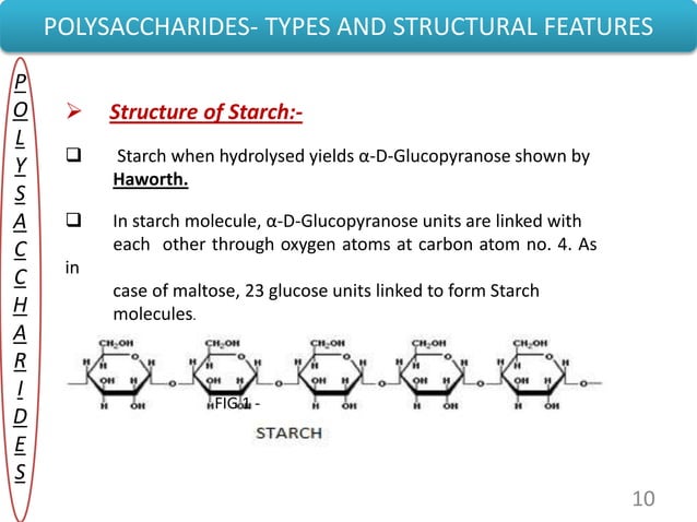 Polysaccharides types and Structural Features | PPTX