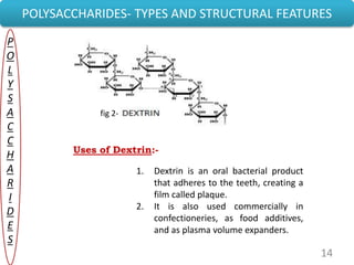 Polysaccharides types and Structural Features | PPTX