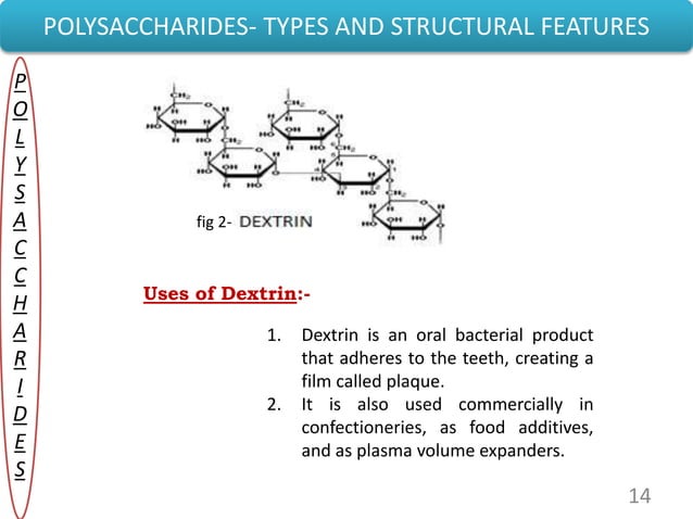 Polysaccharides types and Structural Features | PPTX