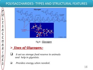 Polysaccharides types and Structural Features | PPTX