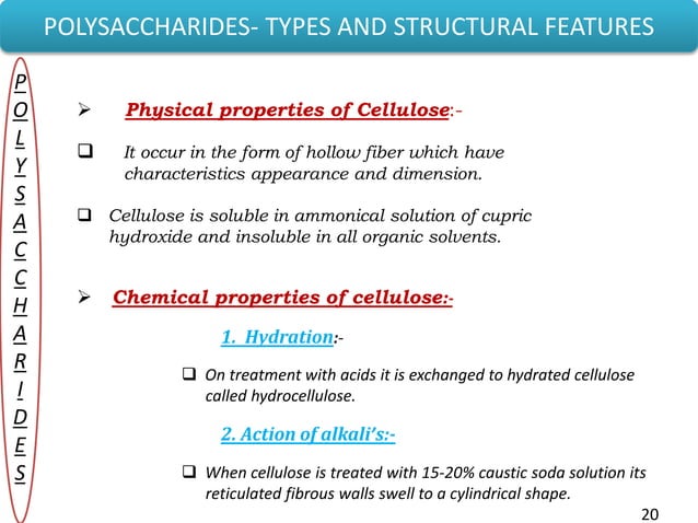 Polysaccharides types and Structural Features | PPTX