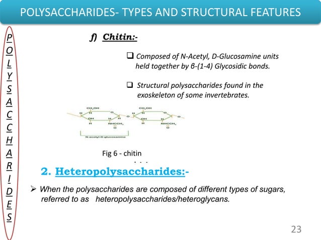 Polysaccharides types and Structural Features | PPTX