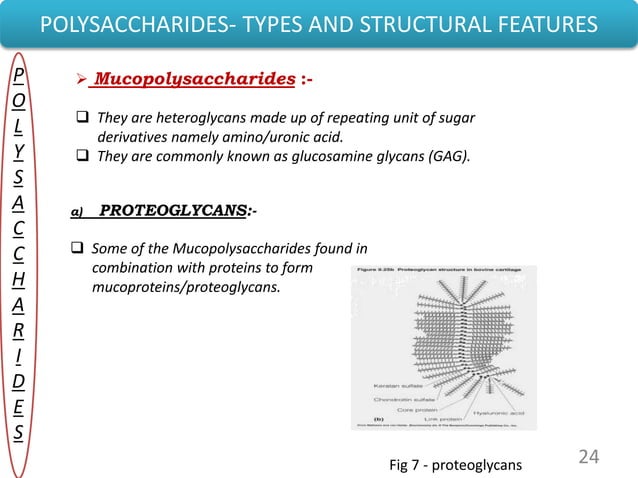 Polysaccharides types and Structural Features | PPTX
