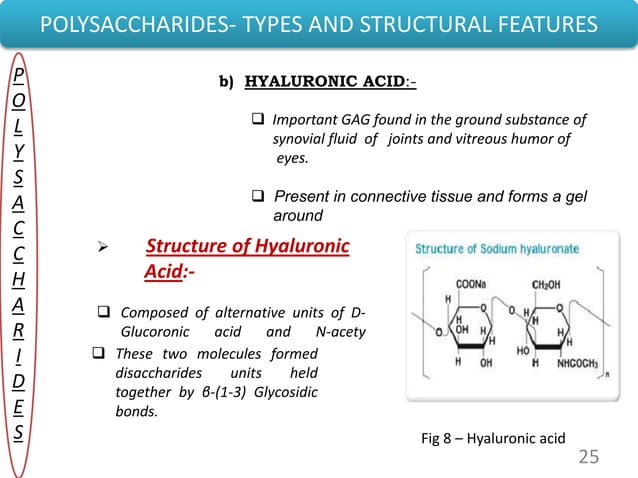 Polysaccharides types and Structural Features | PPTX