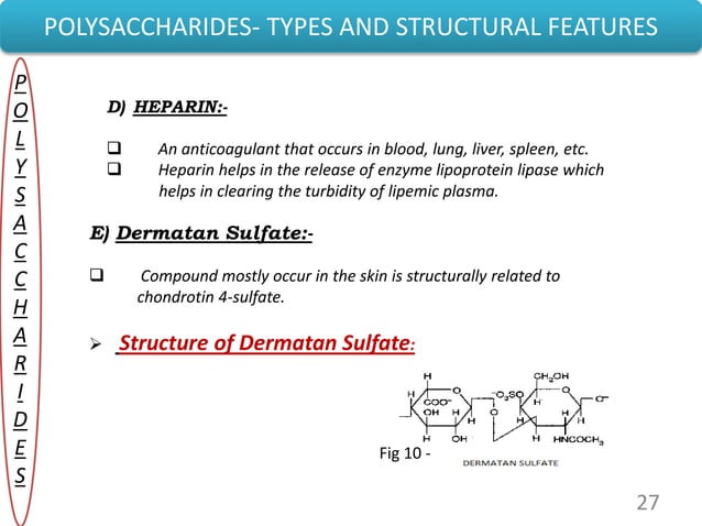 Polysaccharides types and Structural Features | PPTX