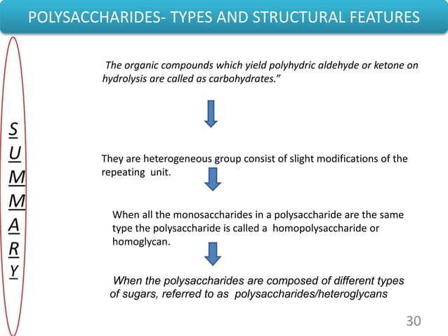 Polysaccharides types and Structural Features | PPTX