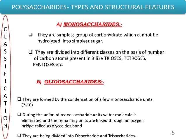 Polysaccharides types and Structural Features | PPTX
